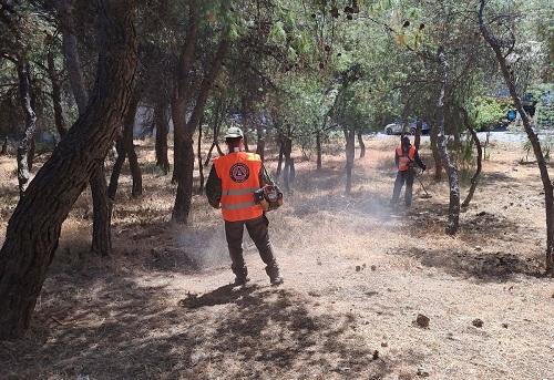Καθαρισμός και αποψίλωση οικοπέδων και δασικών εκτάσεων στις παρυφές ...