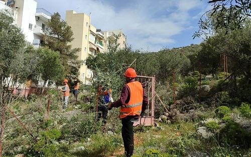 Παρατείνεται η προθεσμία υποβολής δήλωσης καθαρισμού οικοπέδων και ...